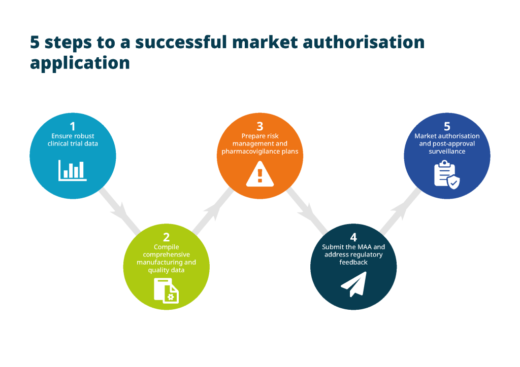 Your ultimate guide to appointing a marketing authorisation holder - TMC