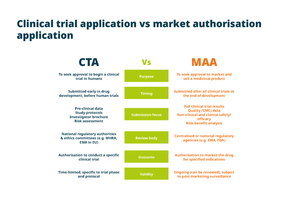 Your ultimate guide to appointing a marketing authorisation holder - TMC