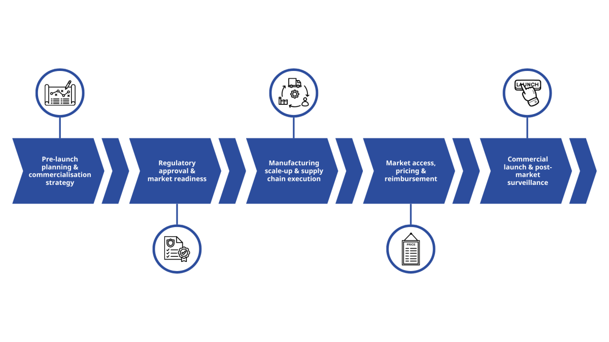 The 5 key stages of the drug commercialisation process