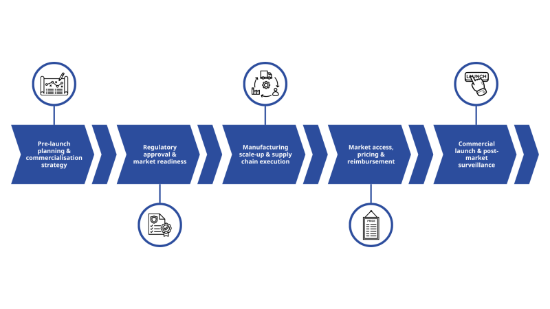 The 5 key stages of the drug commercialisation process